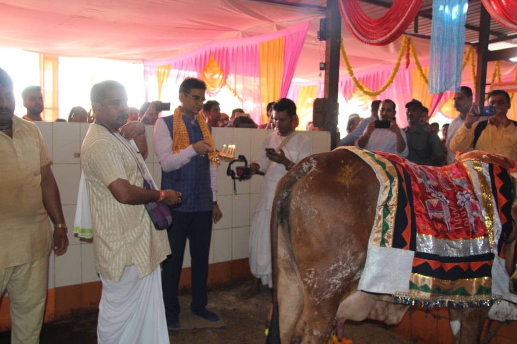 Cow Care - Gau Seva Govind Seva | ISKCON Juhu Mumbai
