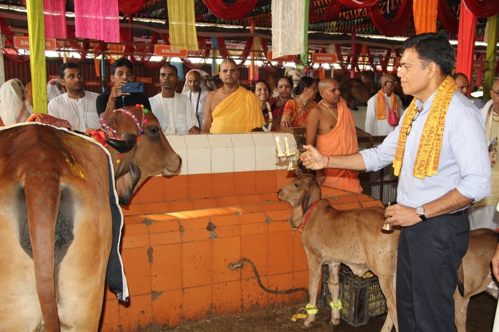 Cow Care - Gau Seva Govind Seva | ISKCON Juhu Mumbai
