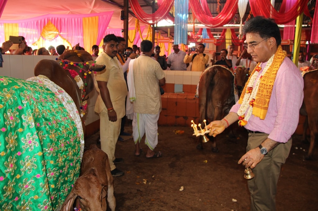 Cow Care - Gau Seva Govind Seva | ISKCON Juhu Mumbai