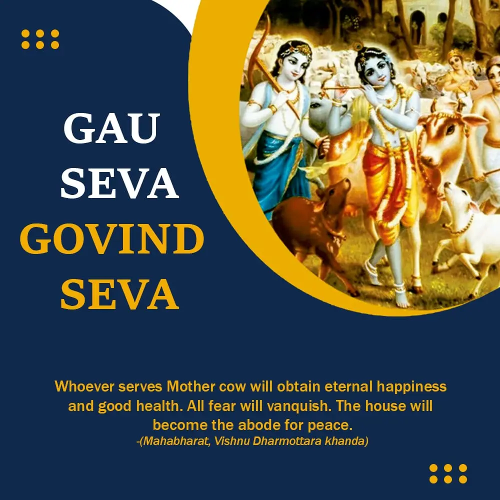 Gau Seva | ISKCON Juhu Mumbai